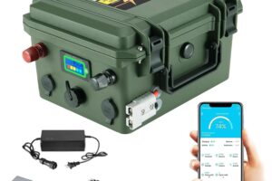 12V 100Ah LiFePO4 Battery Bluetooth,Deep Cycle Lithium Battery, Built ...
